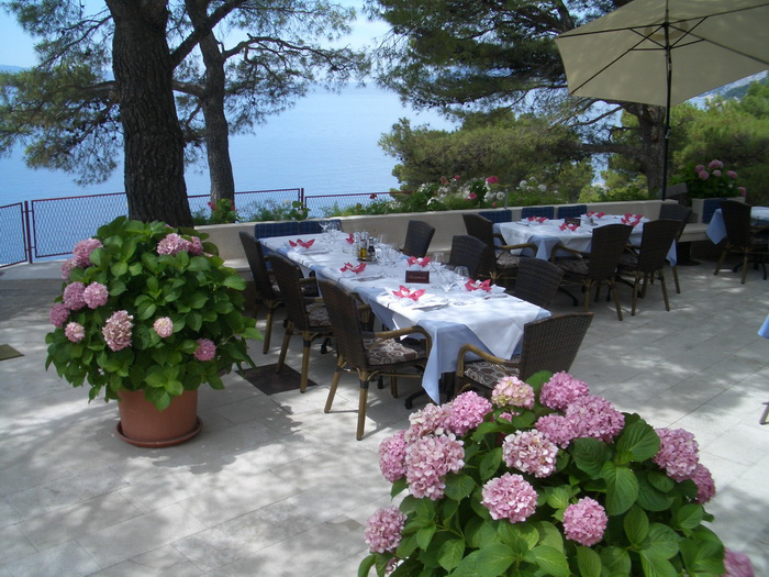 MEDITERAN - Gastronomija | TZ Brela